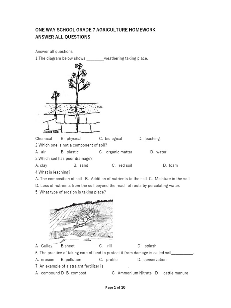 One Way School Grade 7 Agriculture Homework Answer All Questions ...