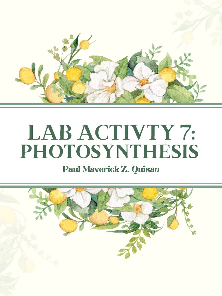 Botany Lab Activity 7 | PDF | Photosynthesis | Chloroplast