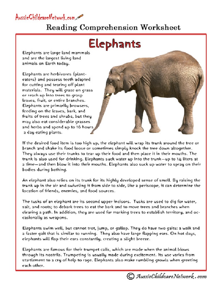 Reading Comprehension ELEPHANTS | PDF