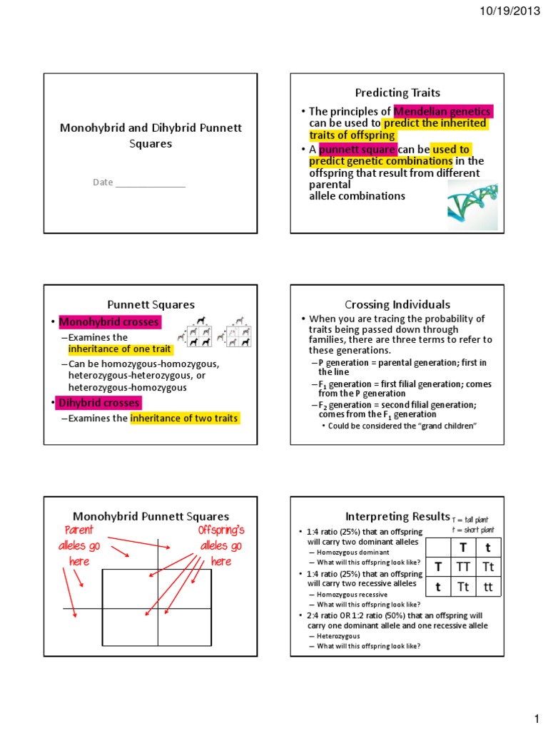 Monohybrid vs Dihybrid Punnett Squares | PDF | Zygosity | Dominance ...