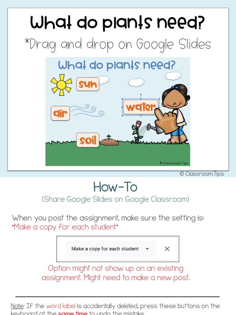 What Do Plants Need? Drag and Drop On Google Slides: © Classroom - Tips ...