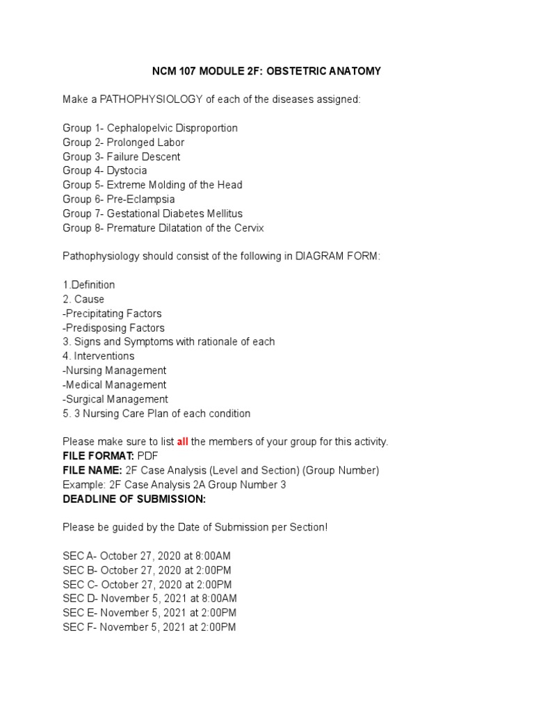 NCM 107 - Obstetric Anatomy Case Analysis | PDF | Science & Mathematics