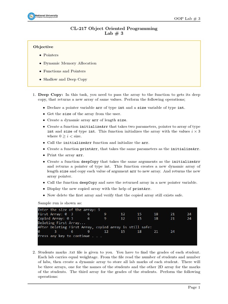 CL-217 Object Oriented Programming Lab # 3 | PDF | Pointer (Computer Programming) | Matrix ...