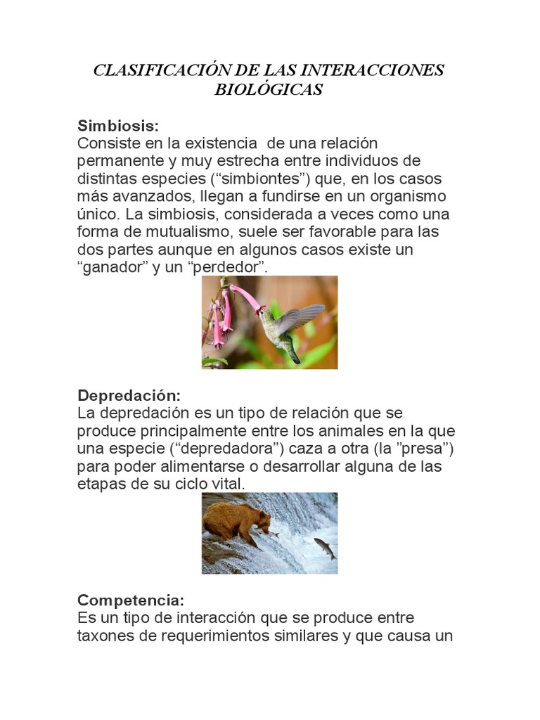 Clasificación de Las Interacciones Biológicas | PDF | Simbiosis ...