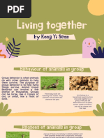Animal Friends Timehri Readers Level 1A PDF | PDF | Domesticated ...