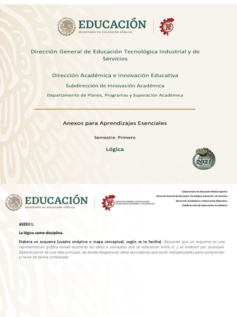 Complemento Cuadernillo de Lógica | PDF | Violencia | Pesticida