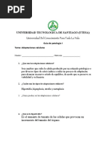 Actualizacion de Protocolos de La Cap | PDF