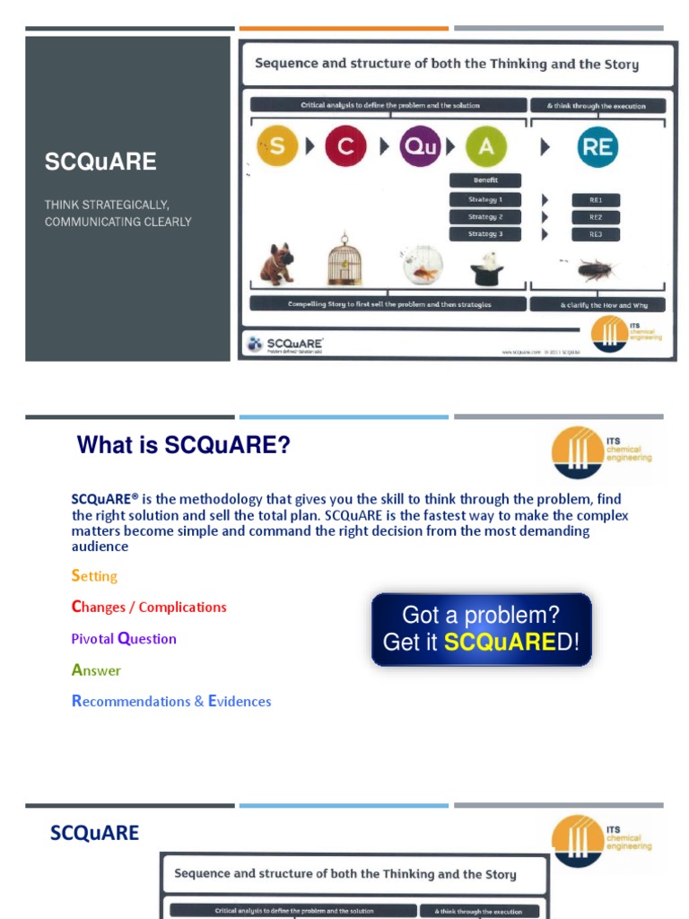 SCQuARE - Pre Read | Download Free PDF | Brand | Risk