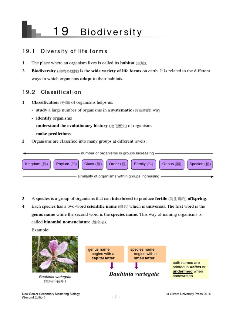 Biodiversity Classification and the Six Kingdoms | PDF | Leaf ...