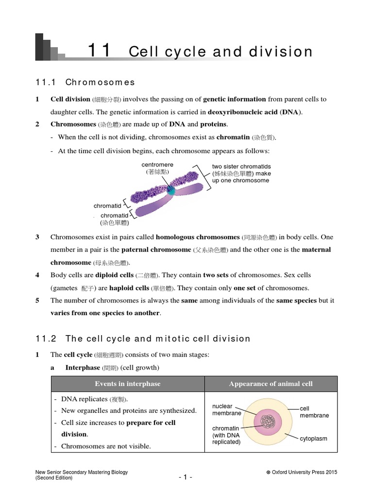 Mastering Biology BK2 Notes | PDF | Meiosis | Chromosome