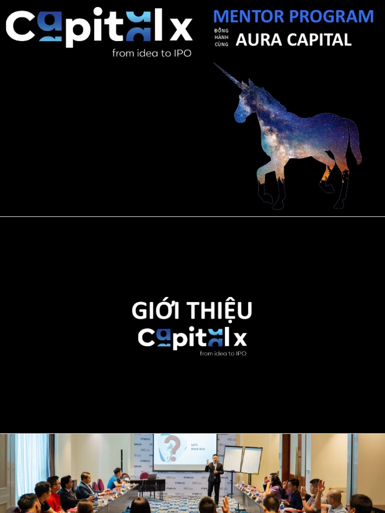 Mentor Capitalx | PDF