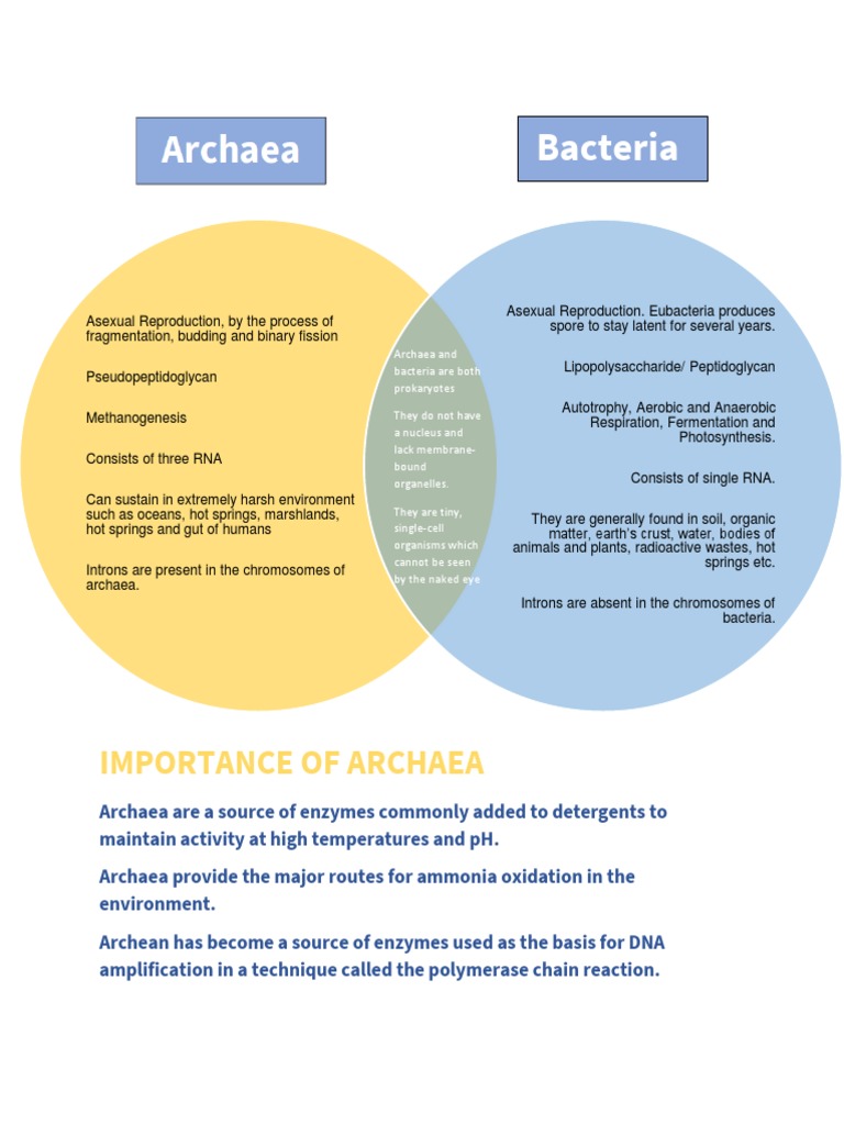 Venn Diagram of Archaea and Bacteria | PDF | Archaea | Bacteria