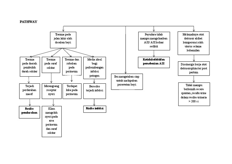 Pathway Post Partum | PDF