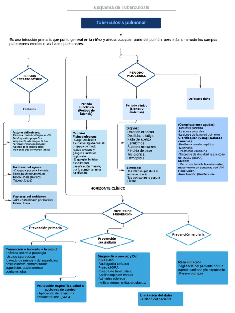 Esquema de TB | PDF | Tuberculosis | Enfermedades y trastornos