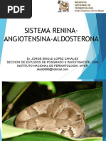 Dacten D: Indicaciones y Composición | PDF | Hipertensión ...
