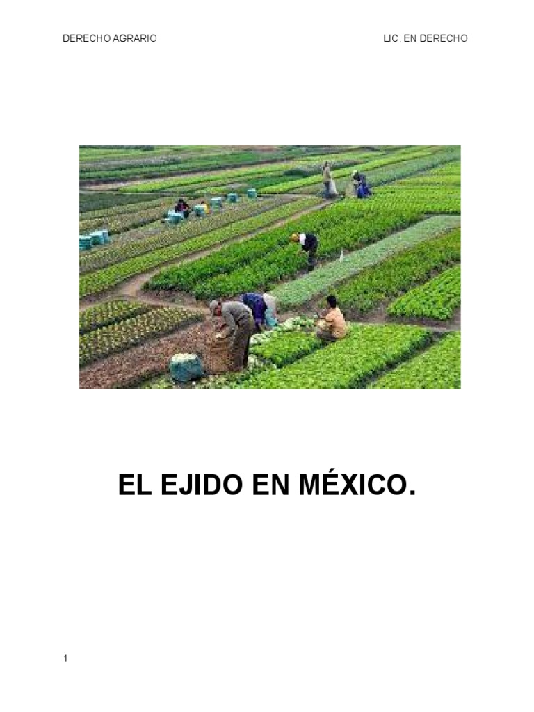 El Ejido. | PDF | Agricultura | Reforma agraria