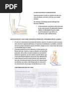 Mano de Predicador | PDF | Mano | Anatomía humana