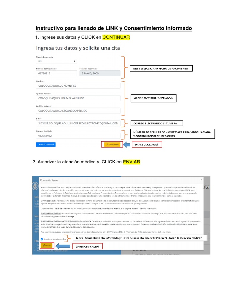 Instructivo de Llenado de Link | PDF