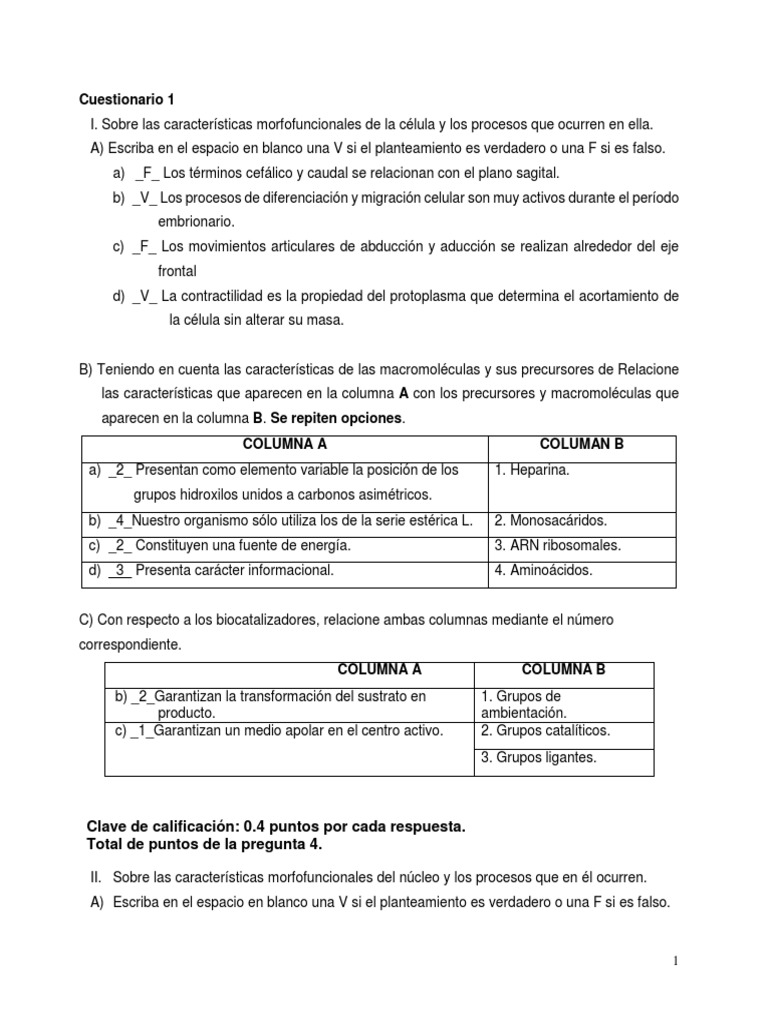 Cuestionarios de Examenes de Morfo I | PDF | Músculo | La columna vertebral