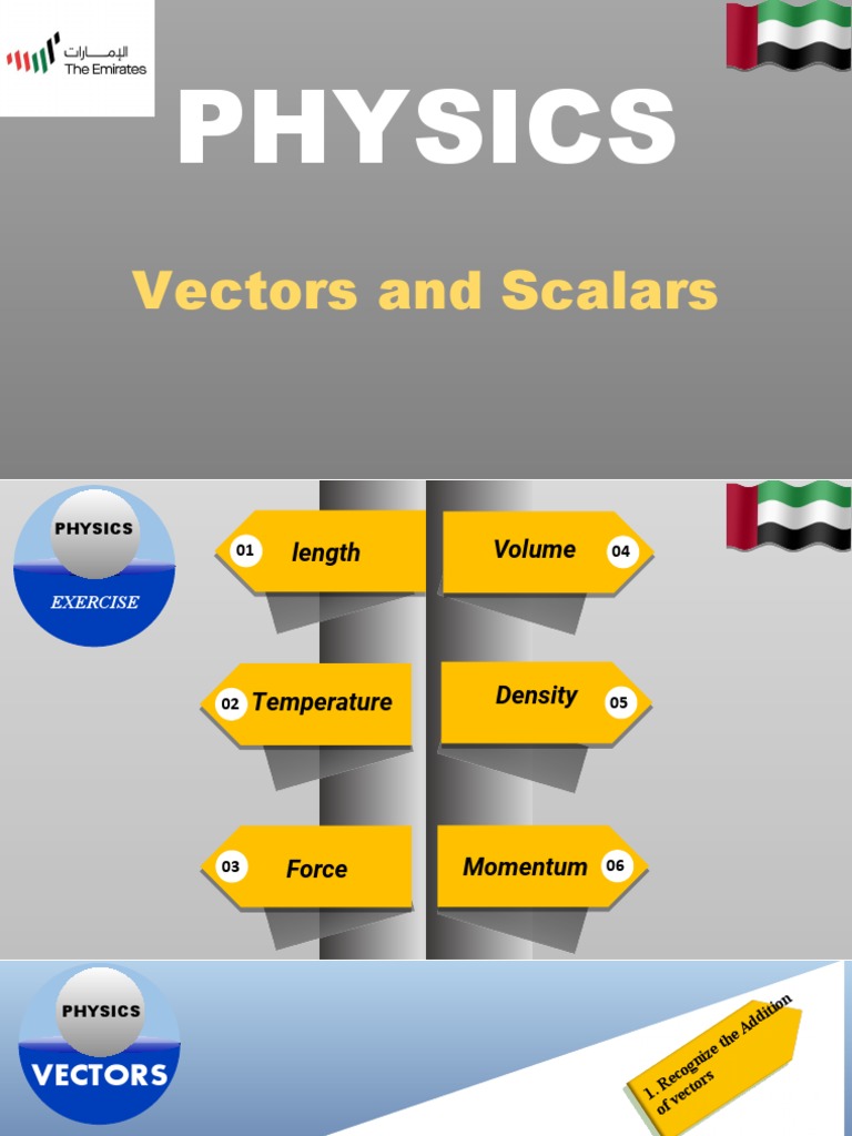 Physics: Vectors and Scalars | PDF | Euclidean Vector | Mechanics