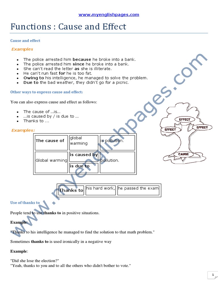 Functions Cause and Effect | PDF | Linguistics | Morphology