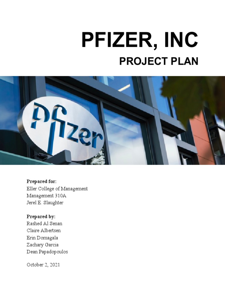 Pfizer Employee Insights Study | PDF | Employment | Job Satisfaction