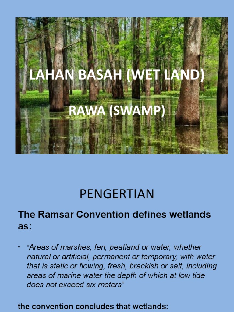 2021 - Biologi Perairan - Lahan Basah (Wet Land) | PDF | Wetland ...
