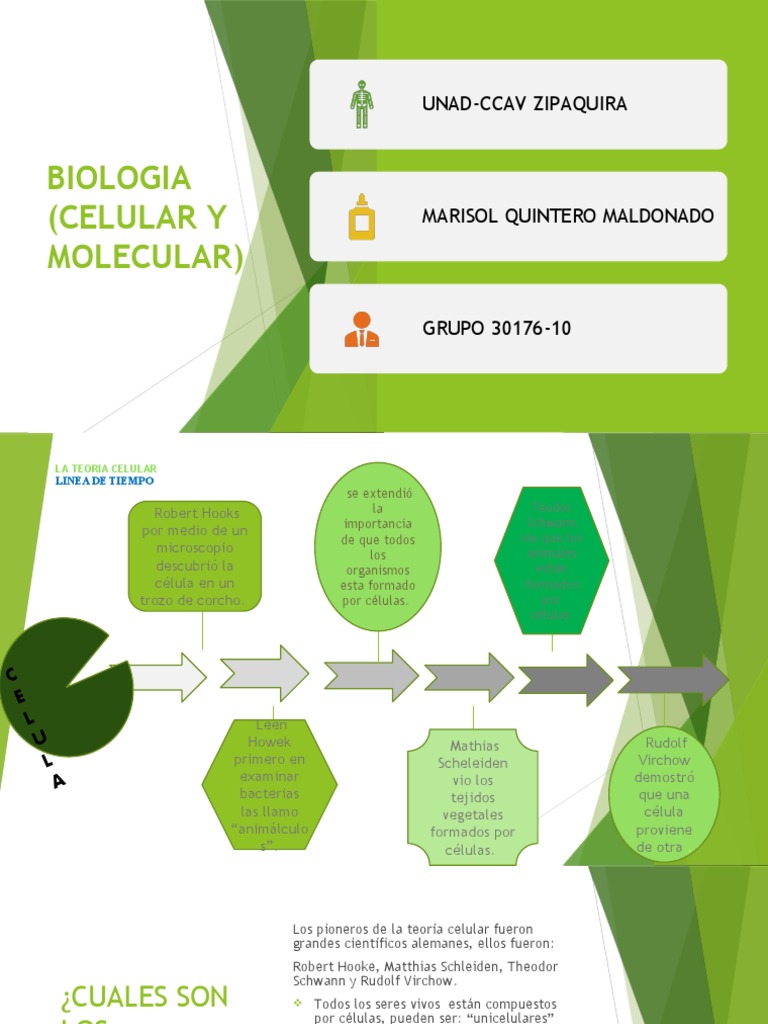 Linea de Tiempo de La Teoría Celular | PDF | Biología Celular) | Plantas