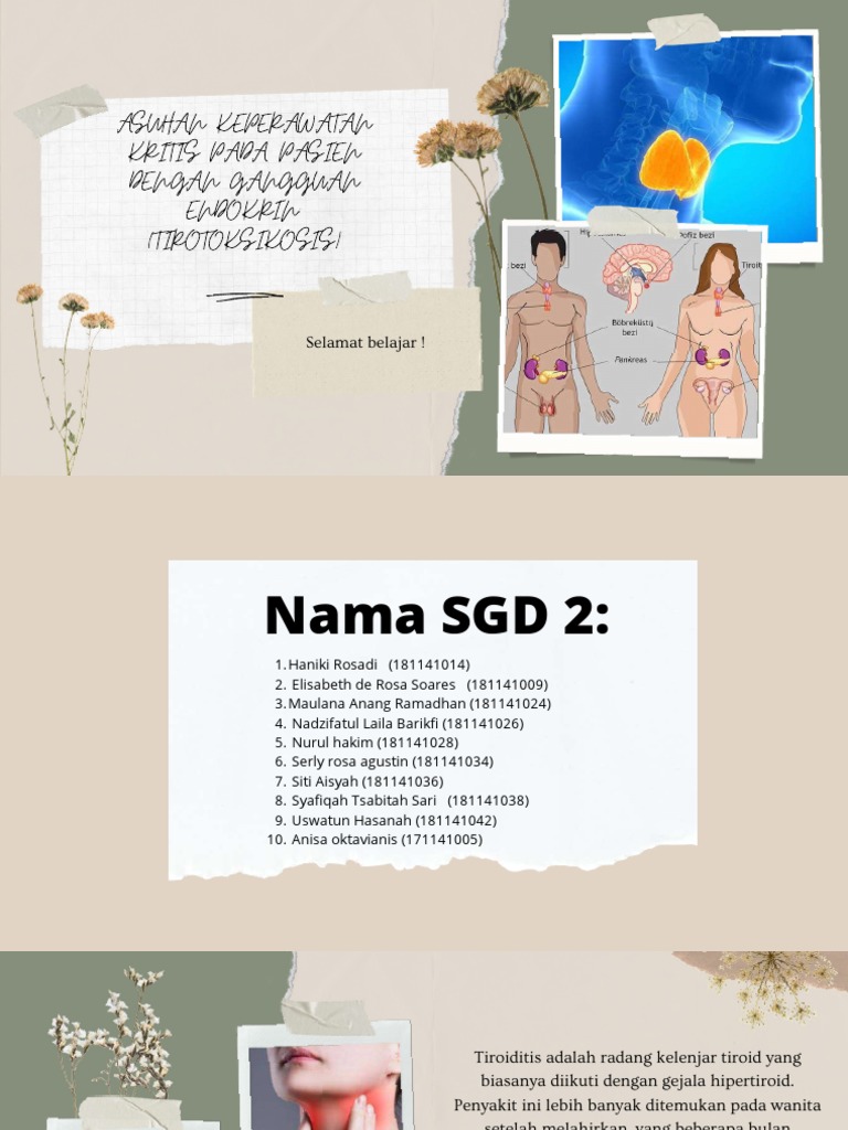 SGD 2 NEW - Compressed | PDF