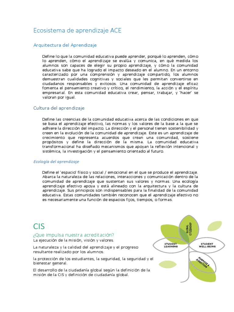 Spanish ACE Principios e Impactos | PDF | Aprendizaje | Evaluación