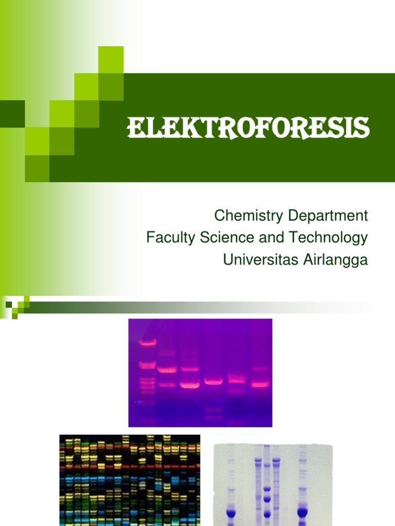 Elektroforesis | PDF | Metode & Bahan Ajar | Sains & Matematika