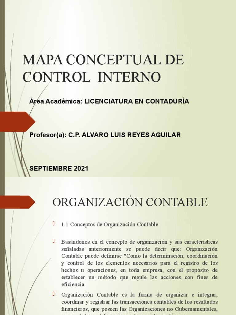 Control Interno-Organizacion Contable | PDF | Contabilidad | Economias