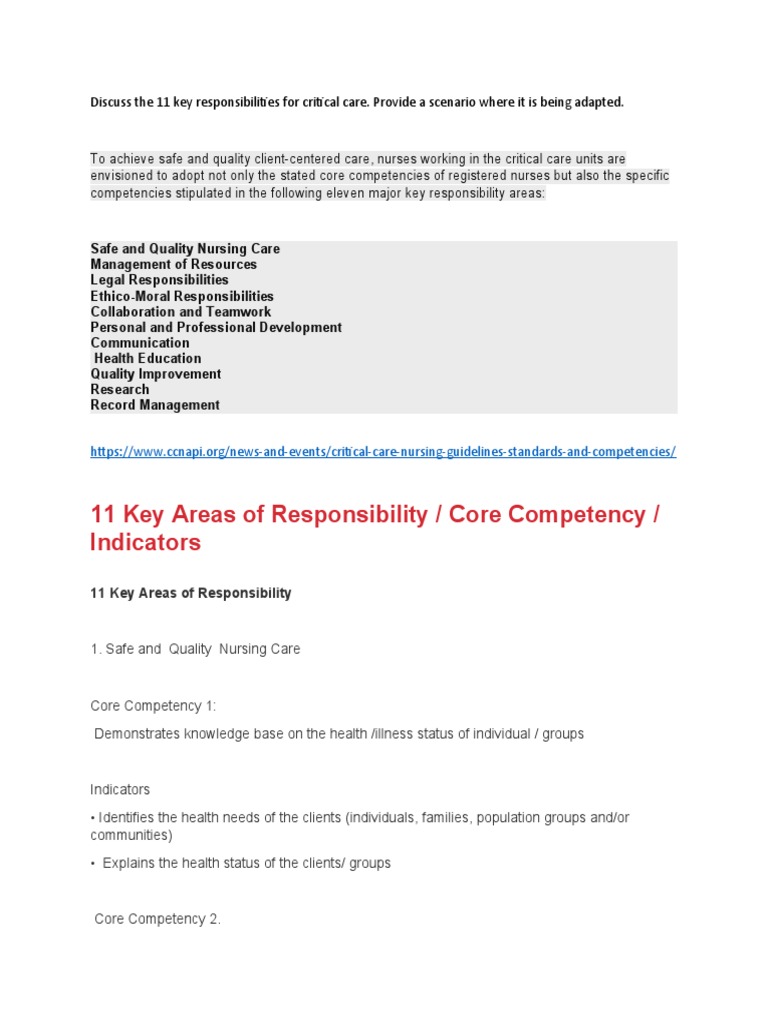 11 Key Areas of Responsibility / Core Competency / Indicators | PDF ...