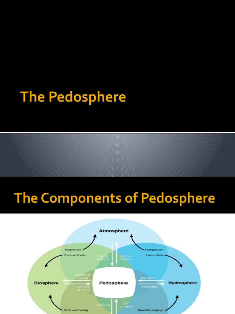 The Pedosphere (Soil Resources) | PDF | Soil | Agriculture