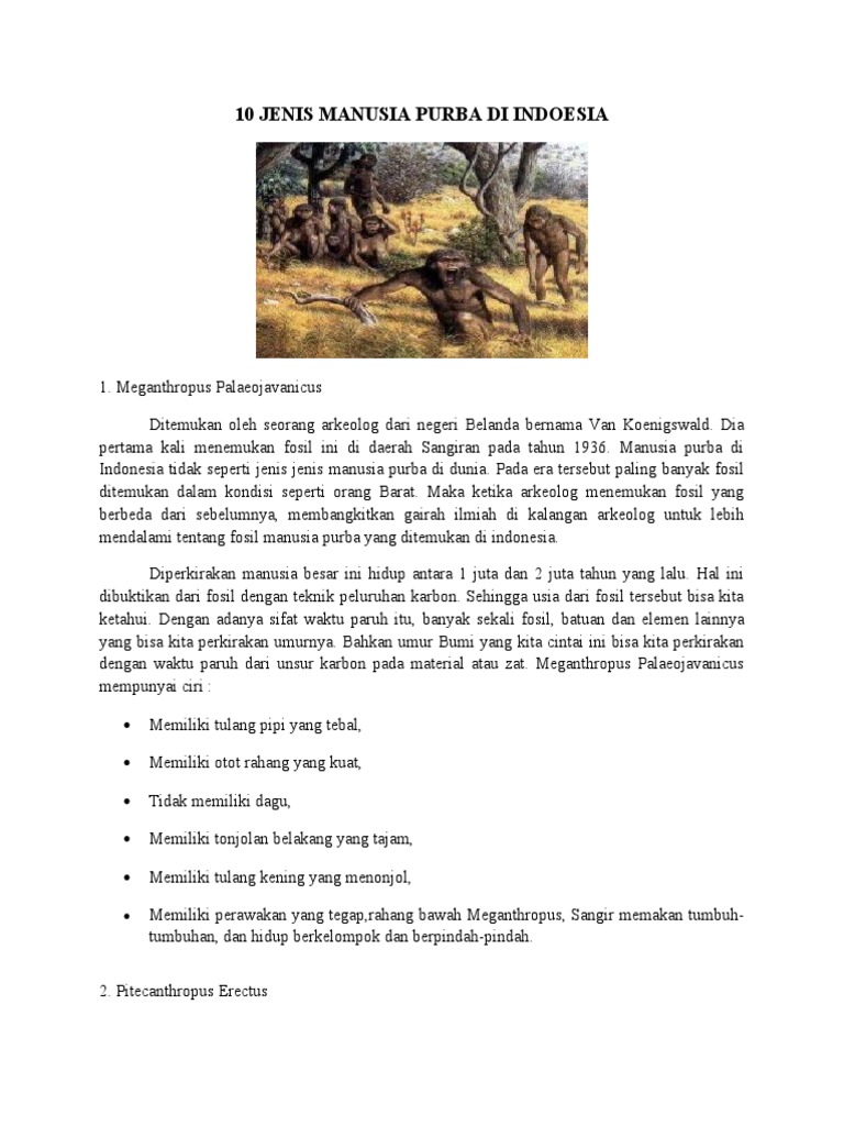 Meganthropus | PDF | Ilmu Sosial