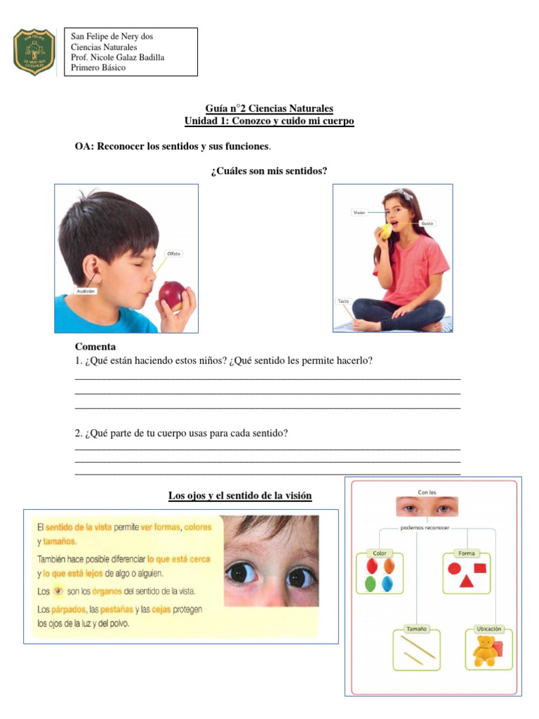 Guia 1 Los Sentidos | PDF