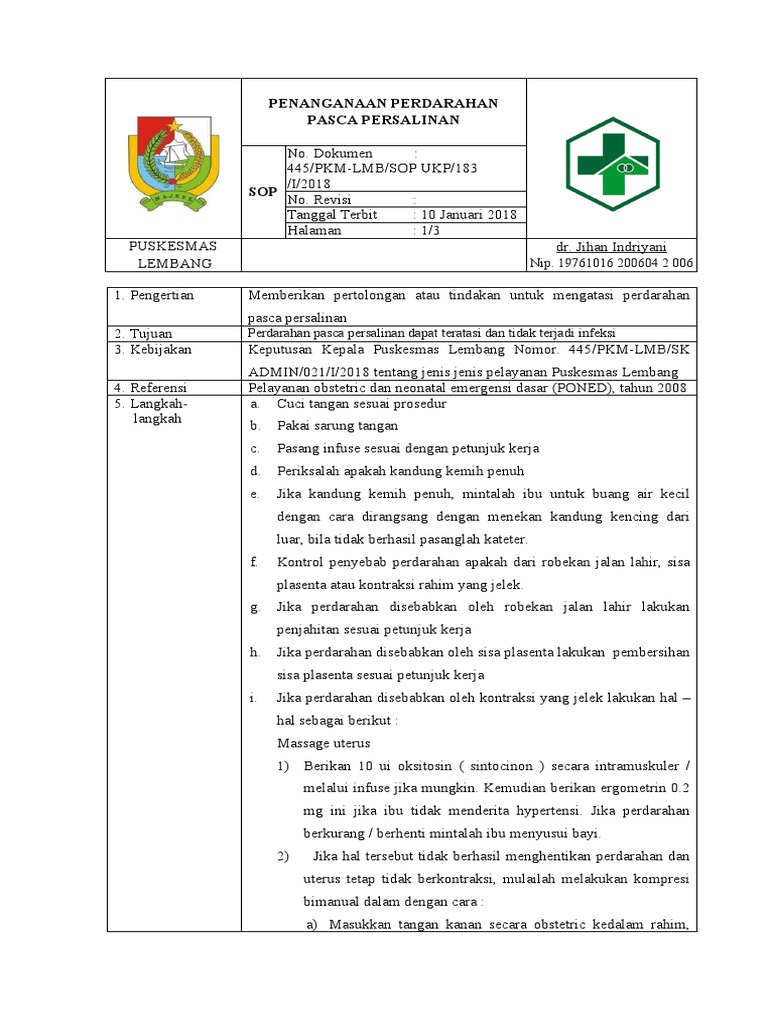 Sop Penanganan Perdarahan Pasca Persalinan | PDF