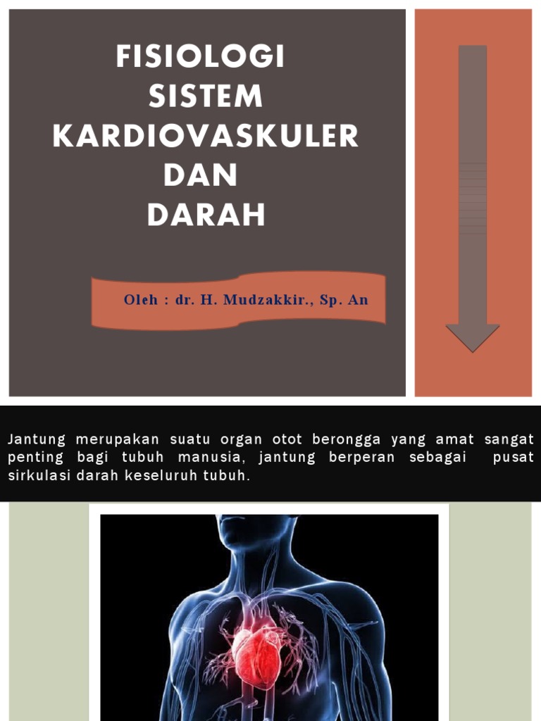 Fisiologi Sistem Kardiovaskuler Dan Darah | PDF | Sains & Matematika