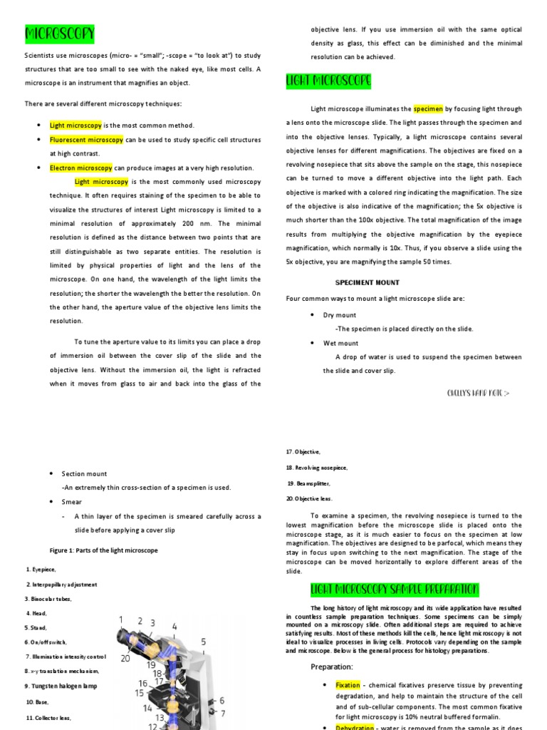 Microscopy Hand Notes | PDF | Fluorescence Microscope | Staining