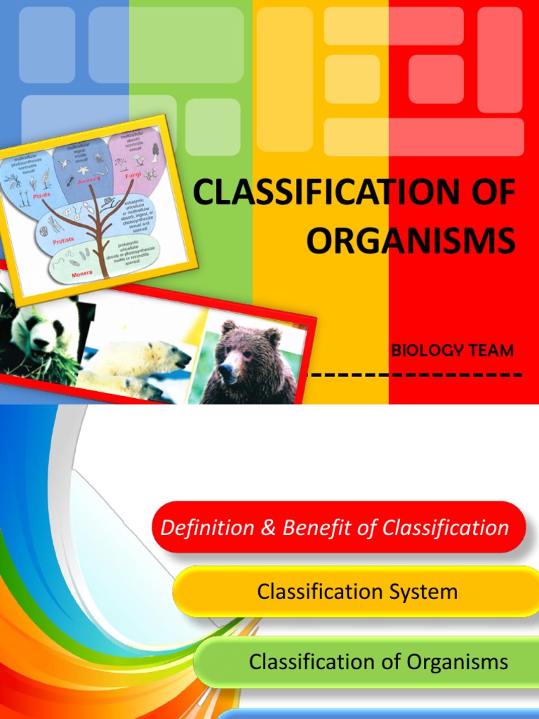 Biology Classification of Organisms | PDF | Taxonomy (Biology) | Bacteria