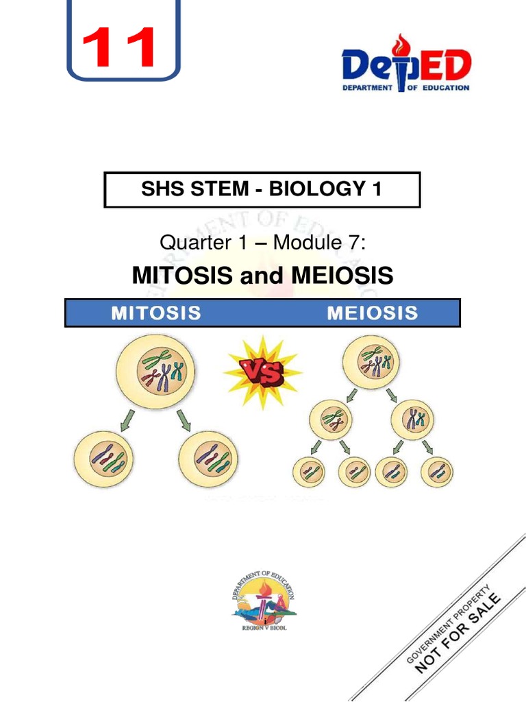 SHS STEM Bio1 Q1 Week 4 Module 7 Mitosis and Meiosis 2 | PDF | Meiosis | Mitosis