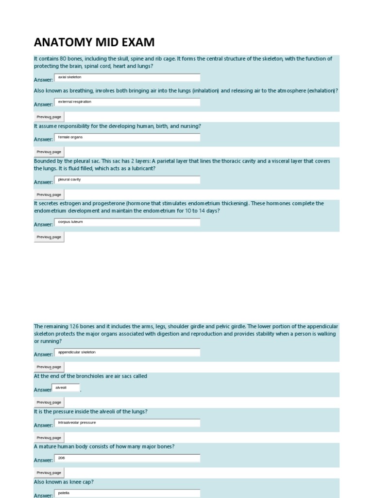 Anatomy Mid Exam | PDF | Lung | Bone