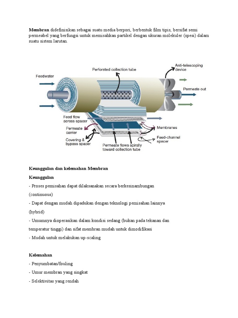 Membran Didefinisikan Sebagai Suatu Media Berpori, Berbentuk Film Tipis ...