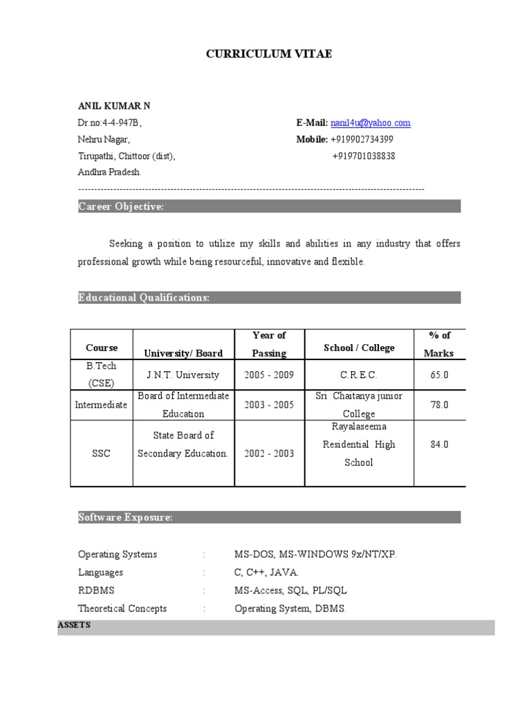 Curriculum Vitae: Career Objective | PDF | Software | Computing