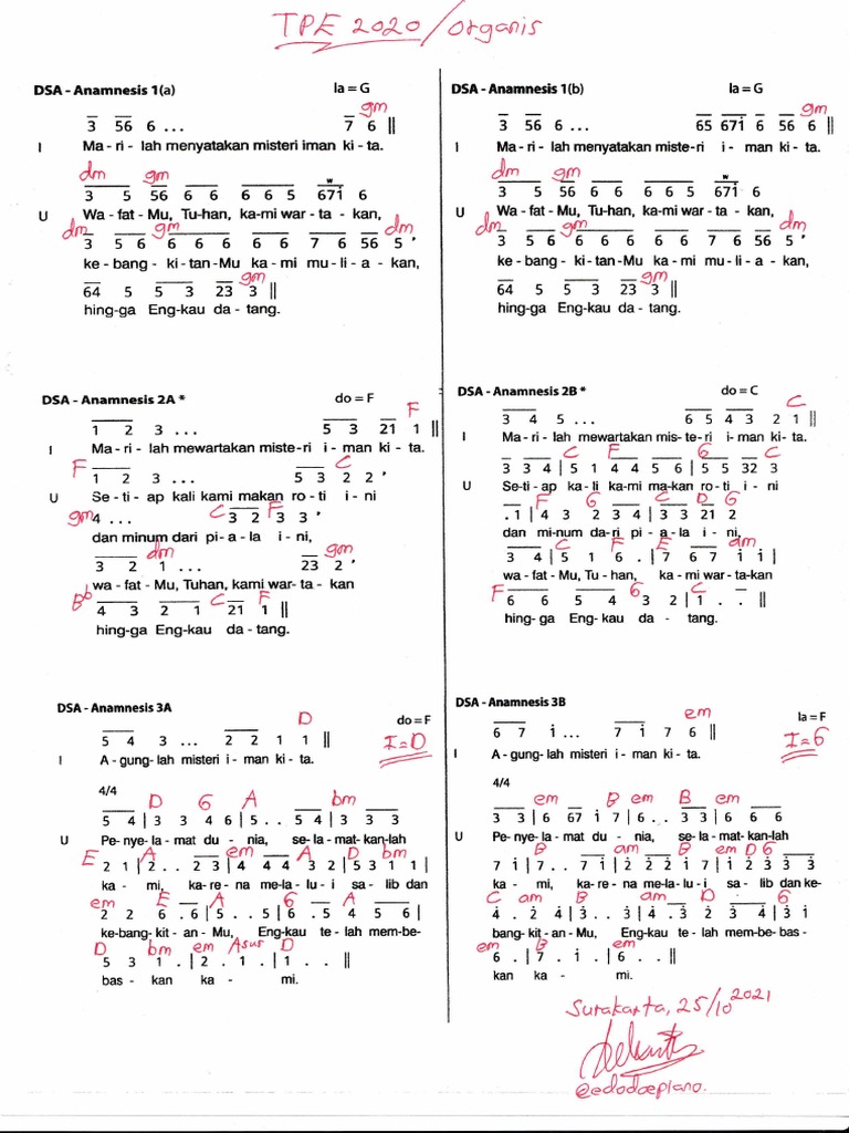 Organis - Anamnesis TPE 2020 | PDF