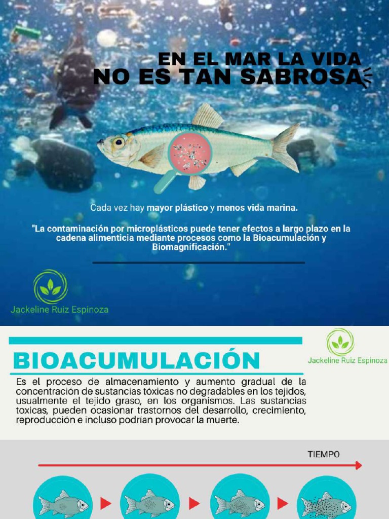 Infografia Bioacumulacion | PDF