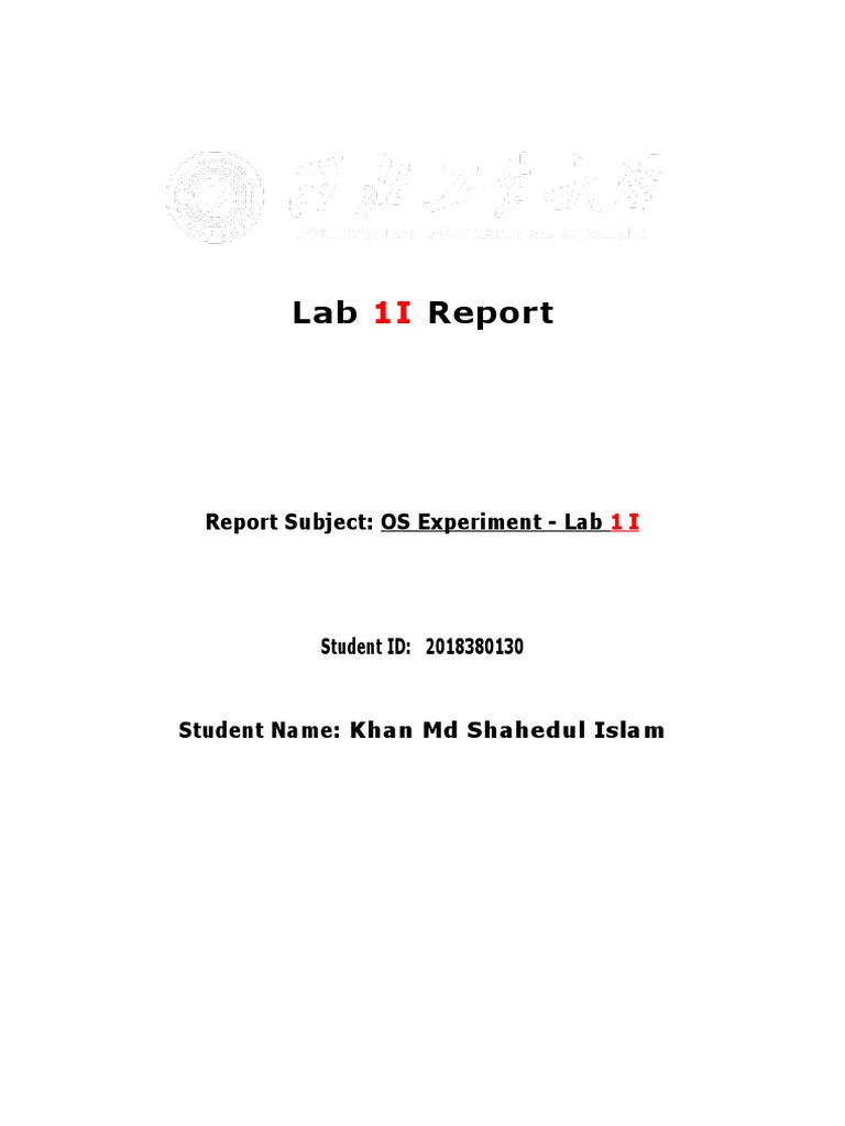 Operating System Lab Report | PDF | Computing | Computer Science