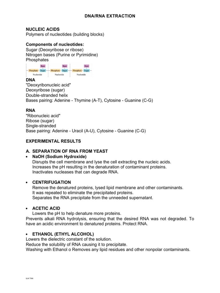 Dna:rna Extraction | PDF | Nucleic Acids | Dna
