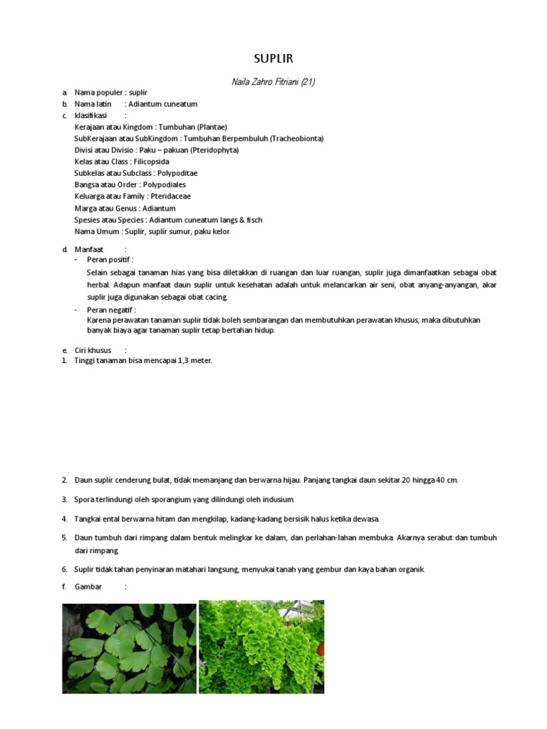 Klasifikasi dan Manfaat Suplir | PDF