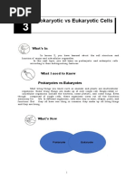 Prokaryotic Vs Eukaryotic Lesson With Worksheets | PDF | Cell (Biology ...